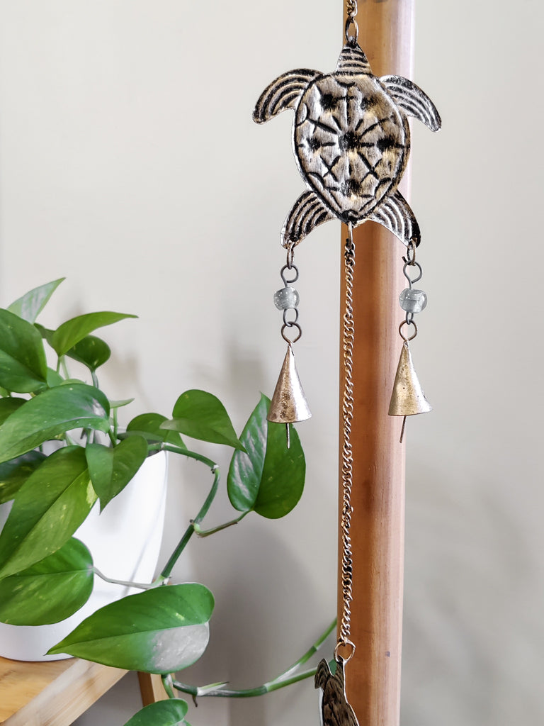 Turtle Mobile – TheThirdEyeNZ