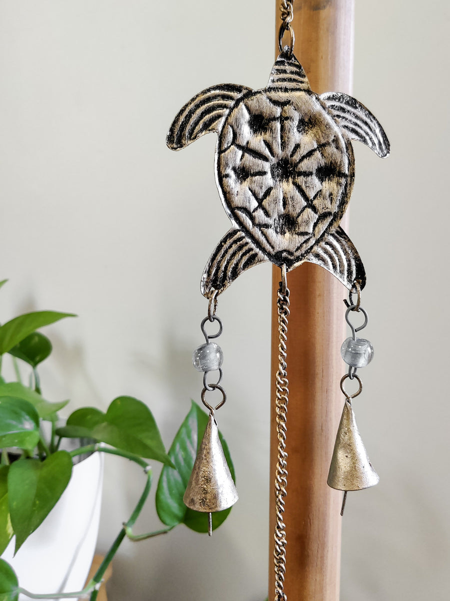 Turtle Mobile – TheThirdEyeNZ